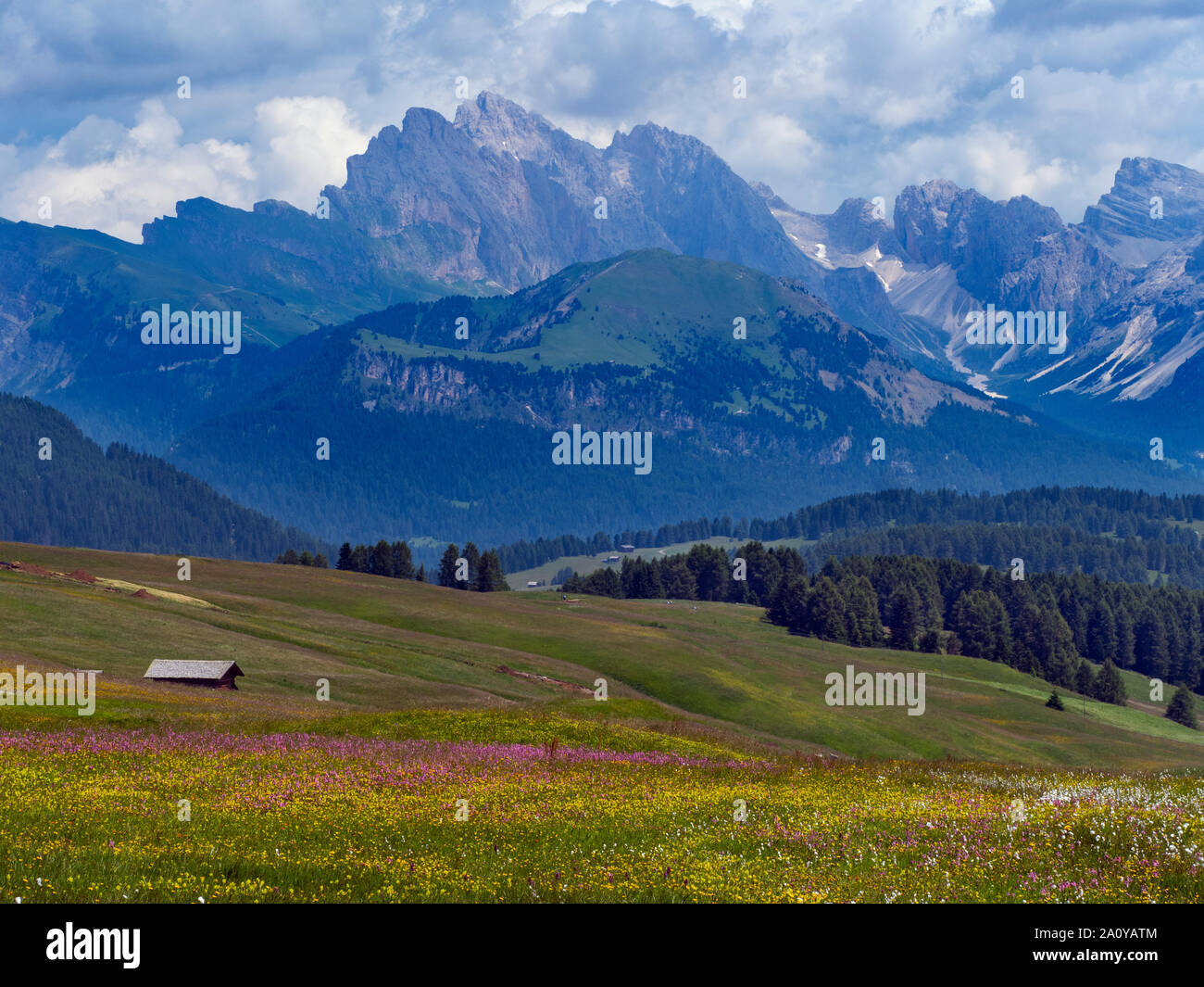 Compatsch village Seiser Alm Dolomites plateau largest Alpine meadow in ...