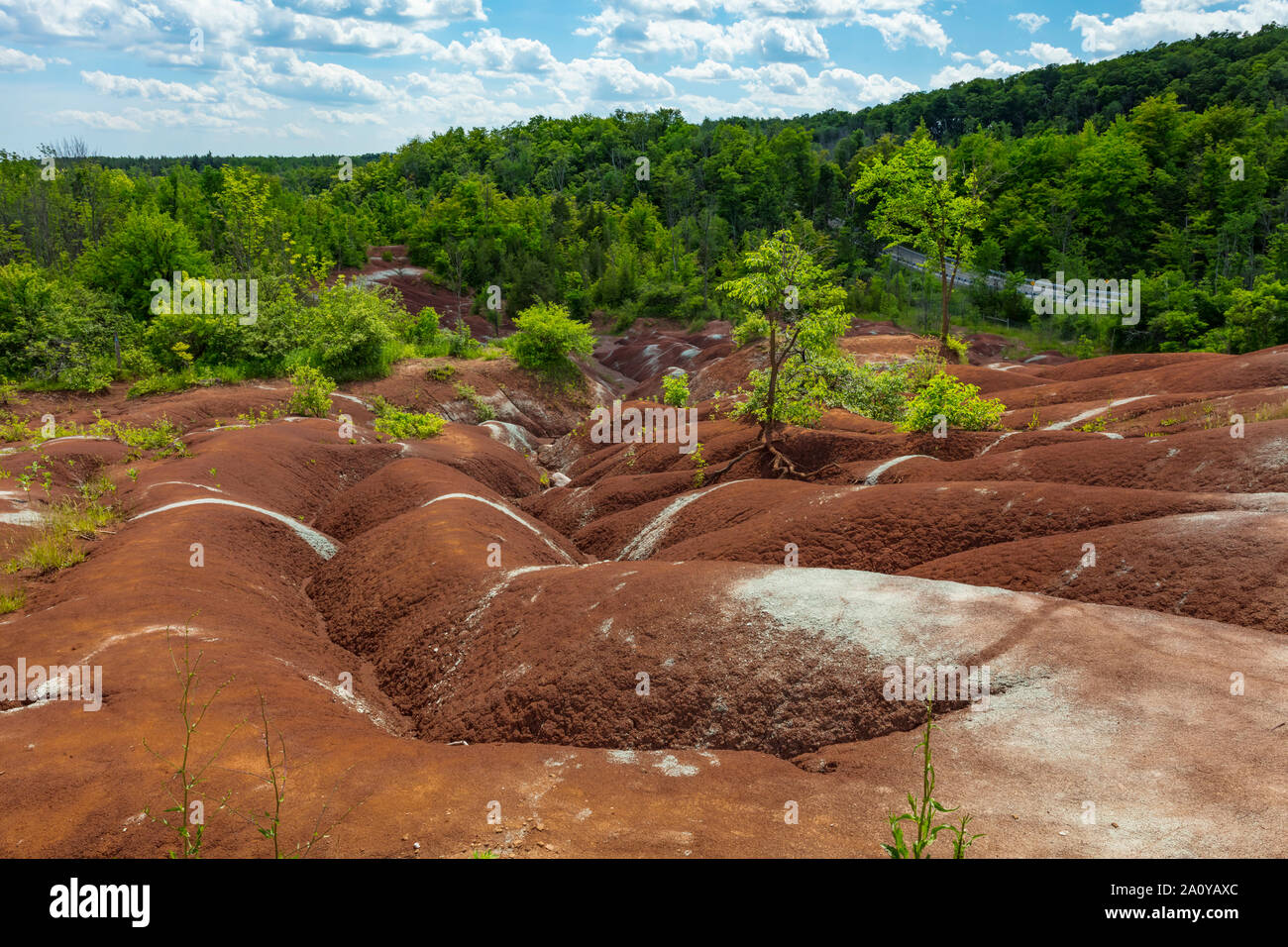 Cheltenham Badlands of Caledon, Ontario in summer Stock Photo - Alamy
