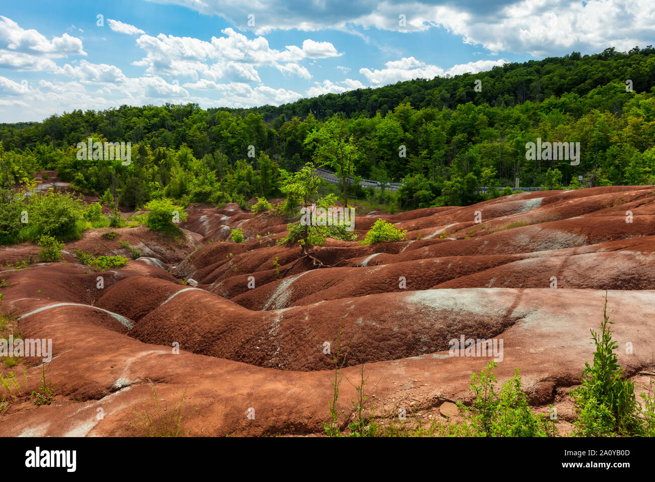Cheltenham Badlands of Caledon, Ontario in summer Stock Photo - Alamy