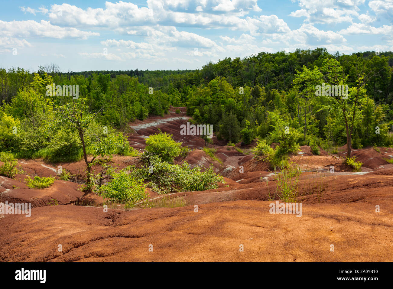 Cheltenham Badlands of Caledon, Ontario in summer Stock Photo - Alamy
