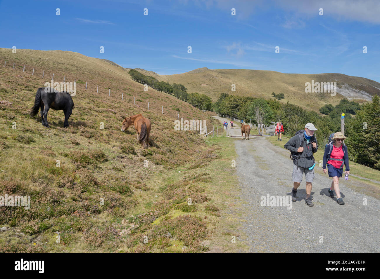 Christian pilgrims walking at Camino de Santiago (St. James' Way) route ...