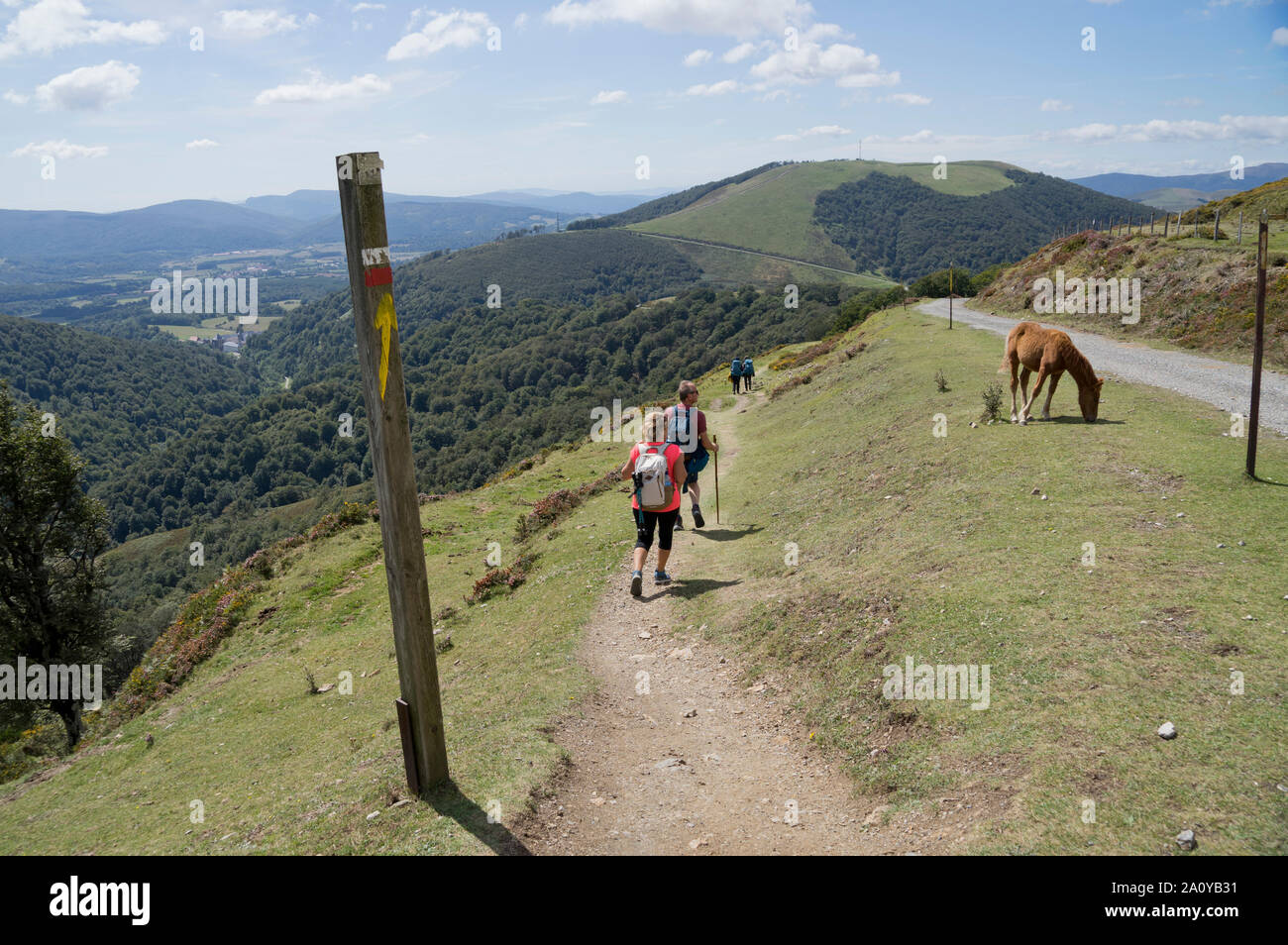 Christian pilgrims walking at Camino de Santiago (St. James' Way) route ...