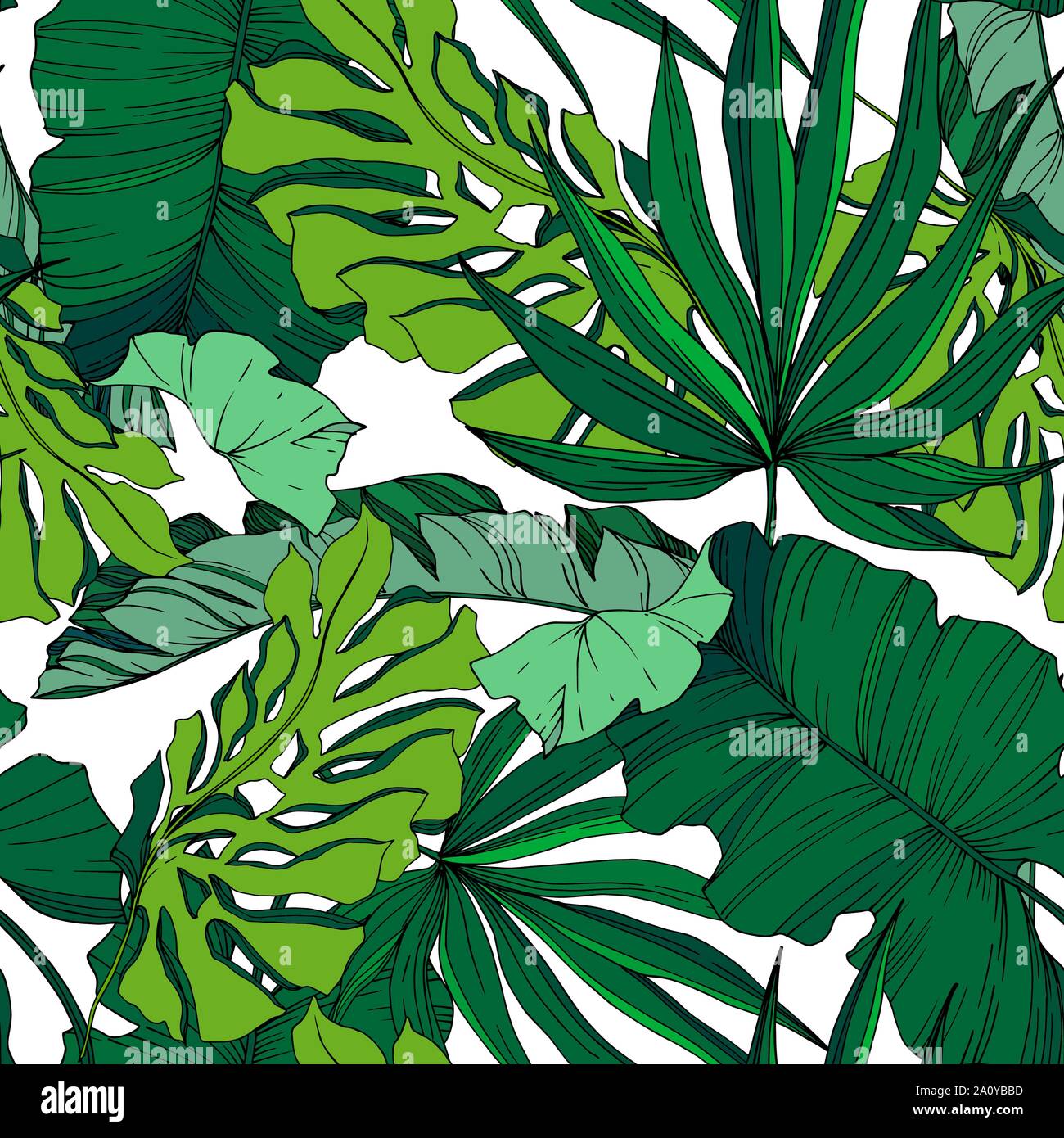 Vector Exotic tropical hawaiian summer. Palm beach tree leaves jungle ...