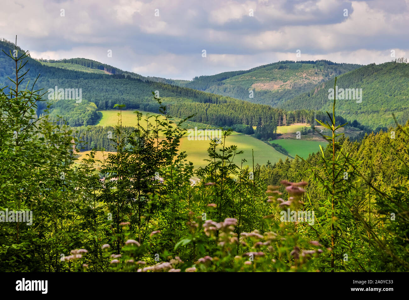 sauerland germany nature scape Stock Photo - Alamy
