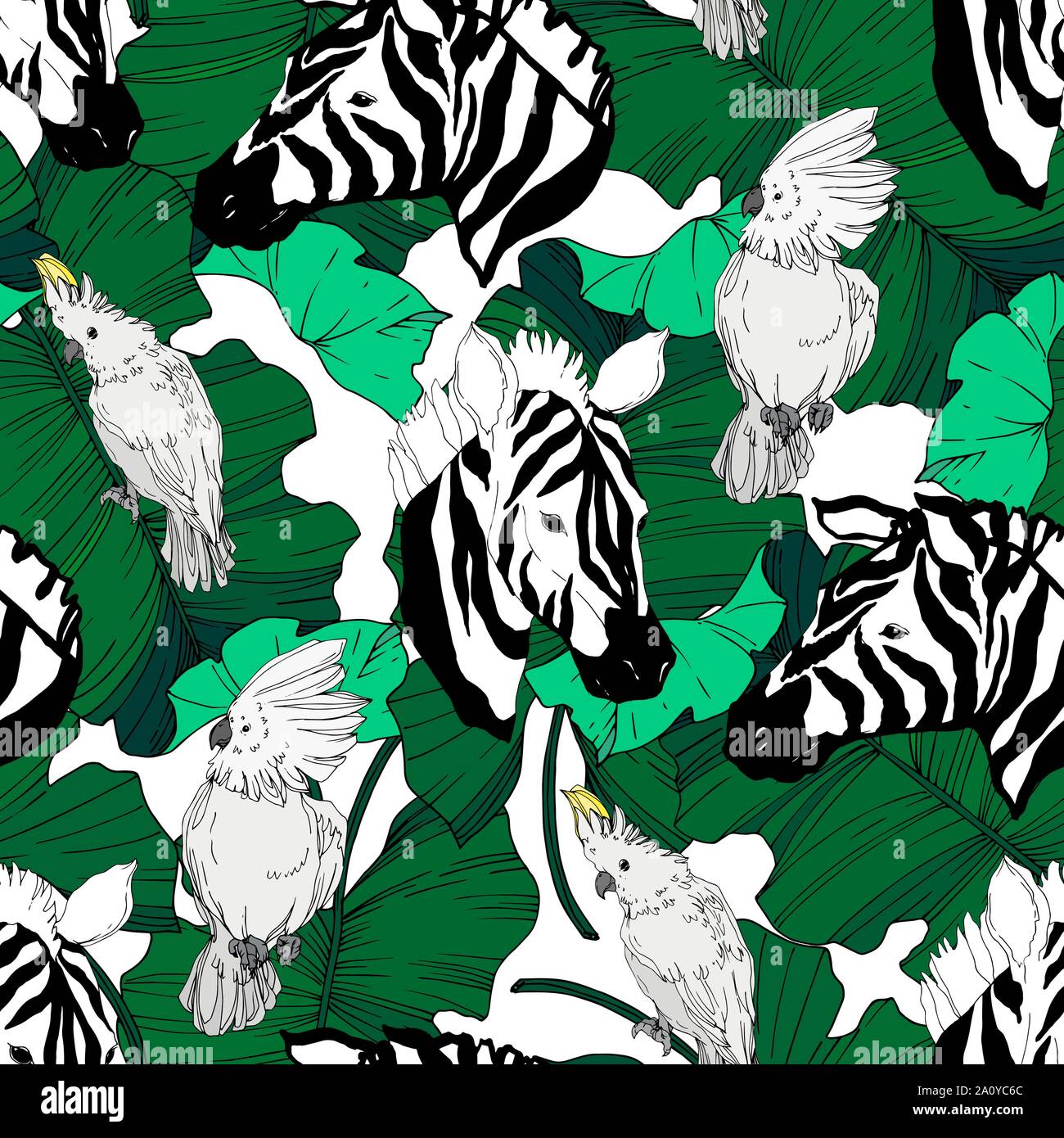Vector Exotic zebra print wild animal isolated. Black and white ...