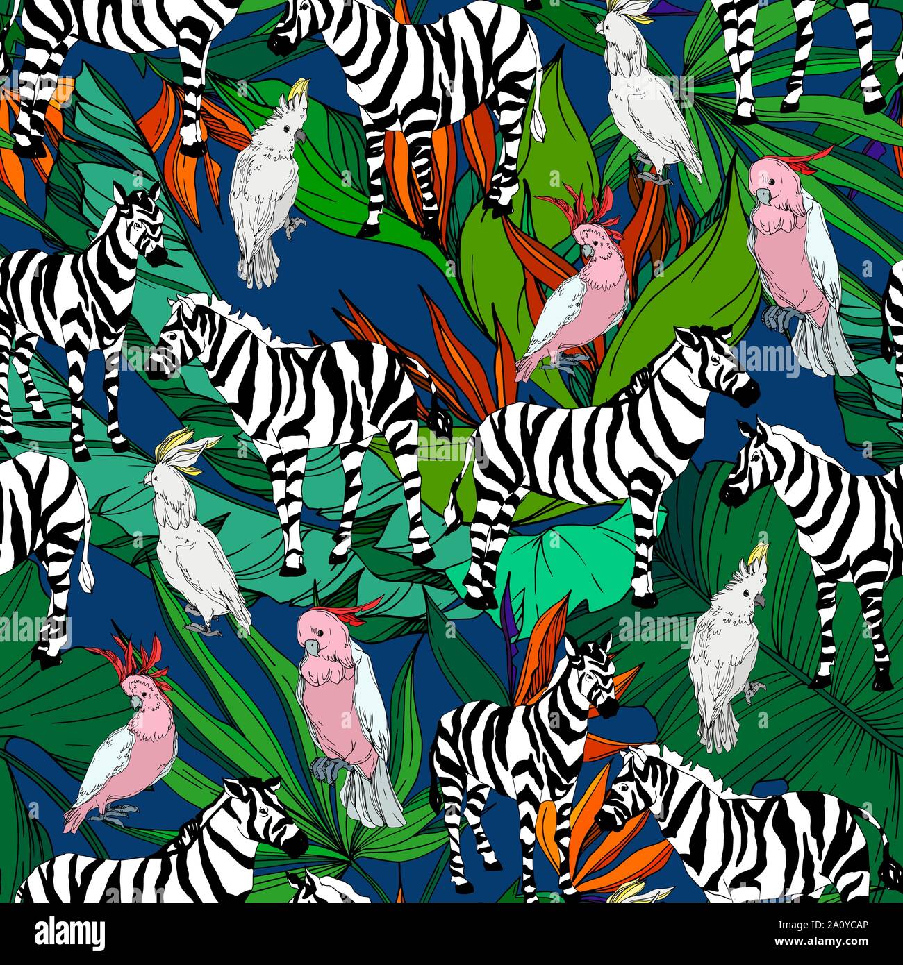 Vector Exotic zebra print wild animal isolated. Black and white ...