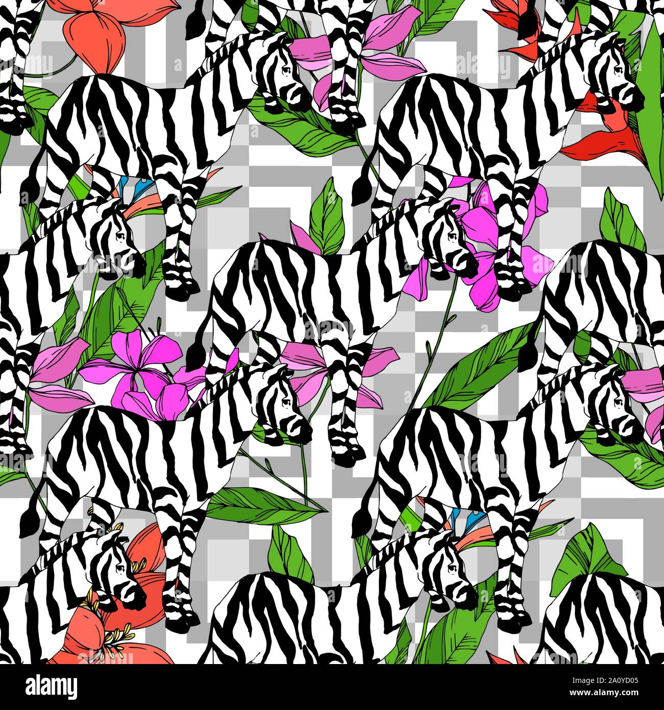 Vector Exotic zebra print wild animal isolated. Black and white ...