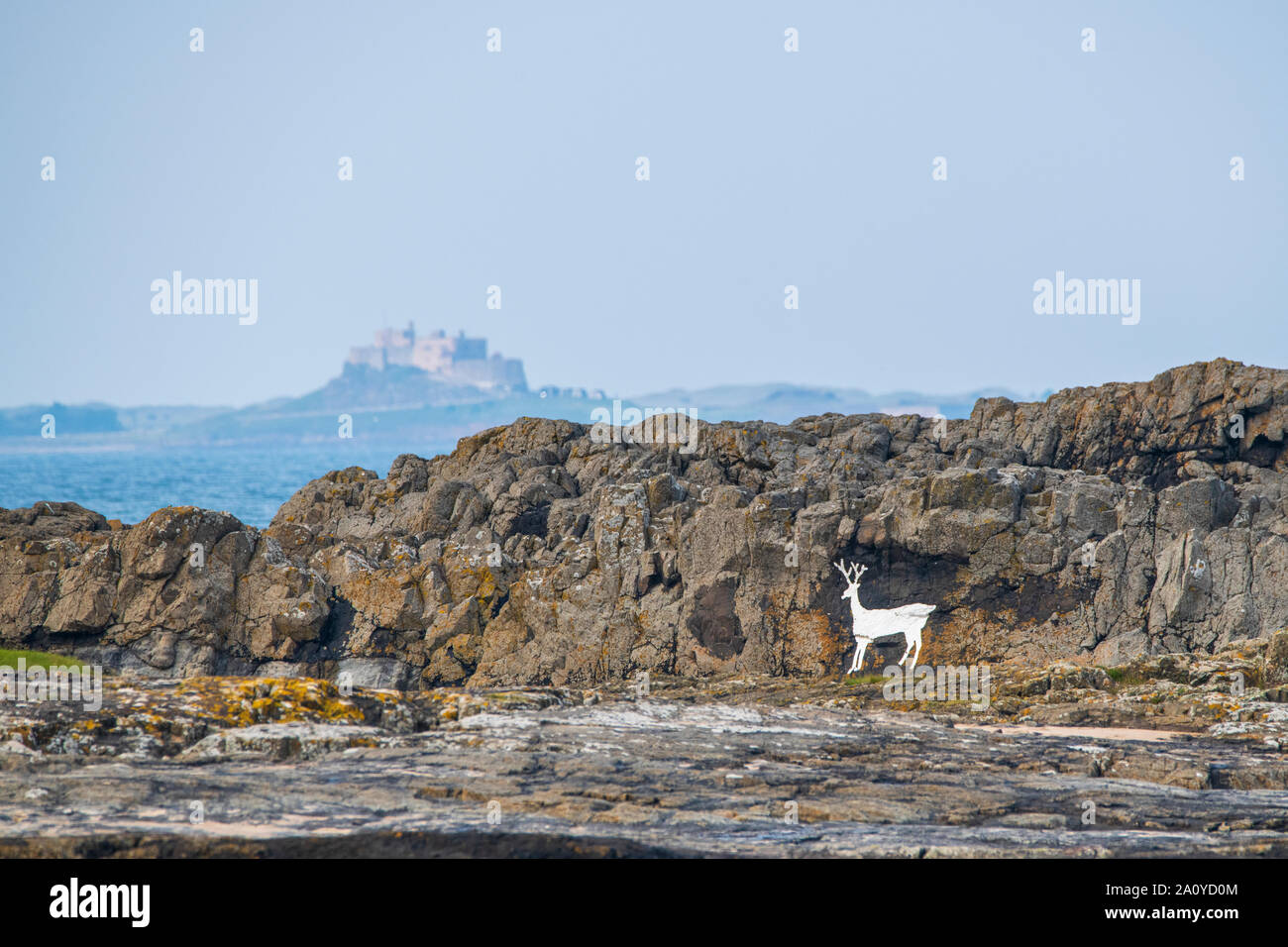 Stag rock hi-res stock photography and images - Alamy