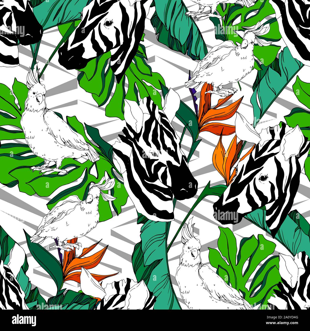 Vector Exotic zebra print wild animal isolated. Black and white ...
