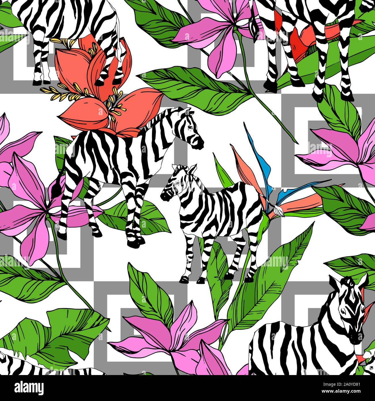 Vector Exotic zebra print wild animal isolated. Black and white ...