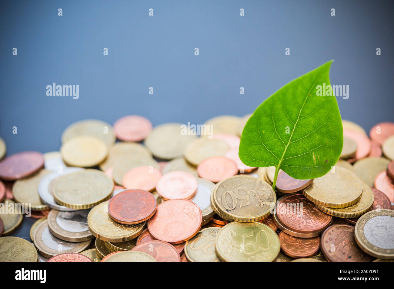 Sustainable revenue hi-res stock photography and images - Alamy