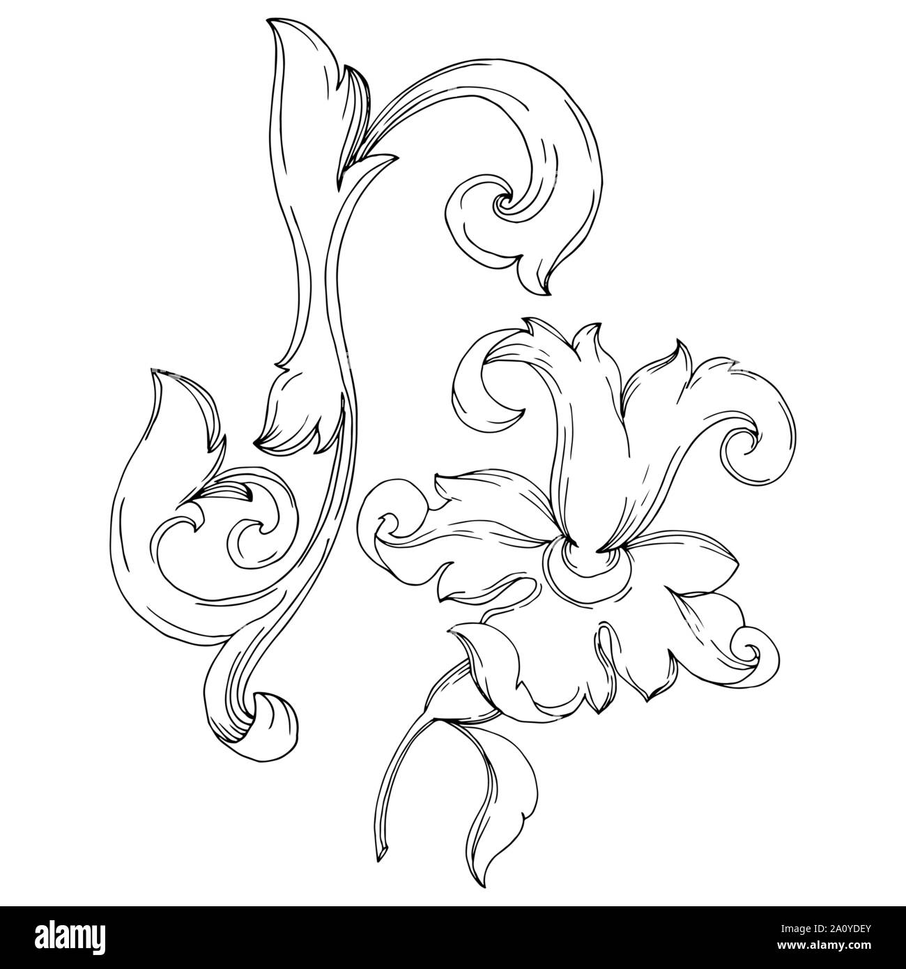 Vector Baroque monogram floral ornament. Baroque design isolated ...