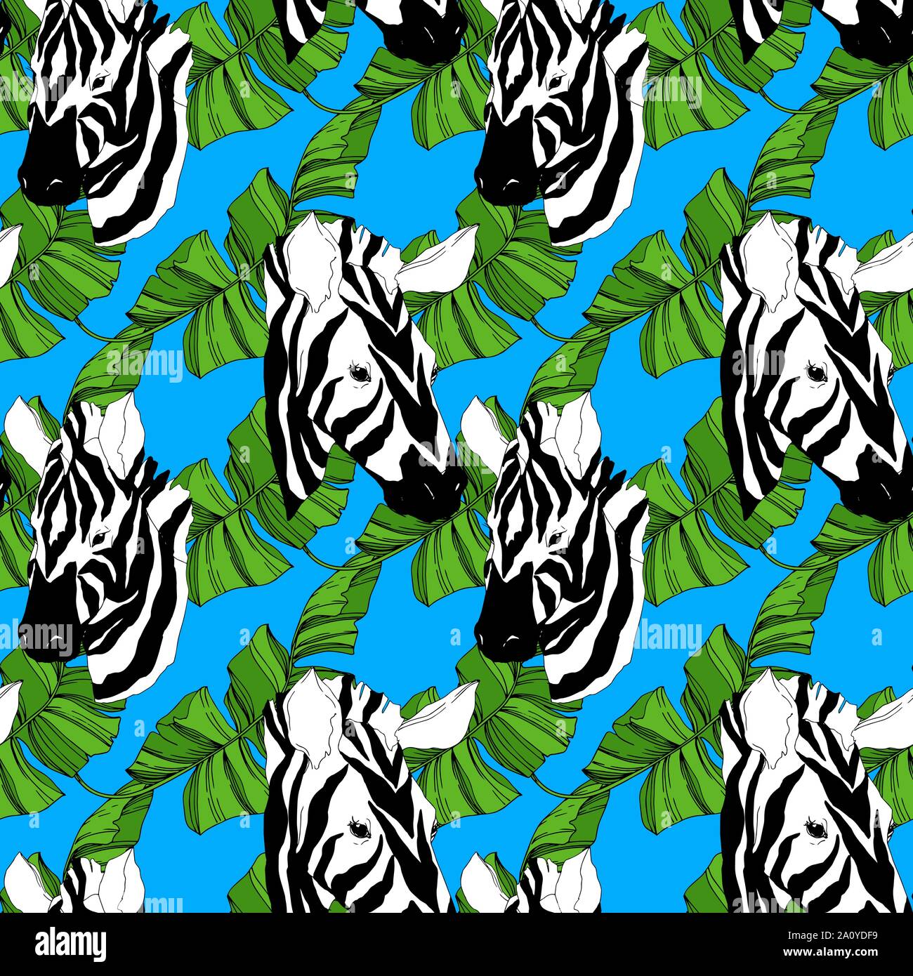 Vector Exotic zebra print wild animal isolated. Black and white ...