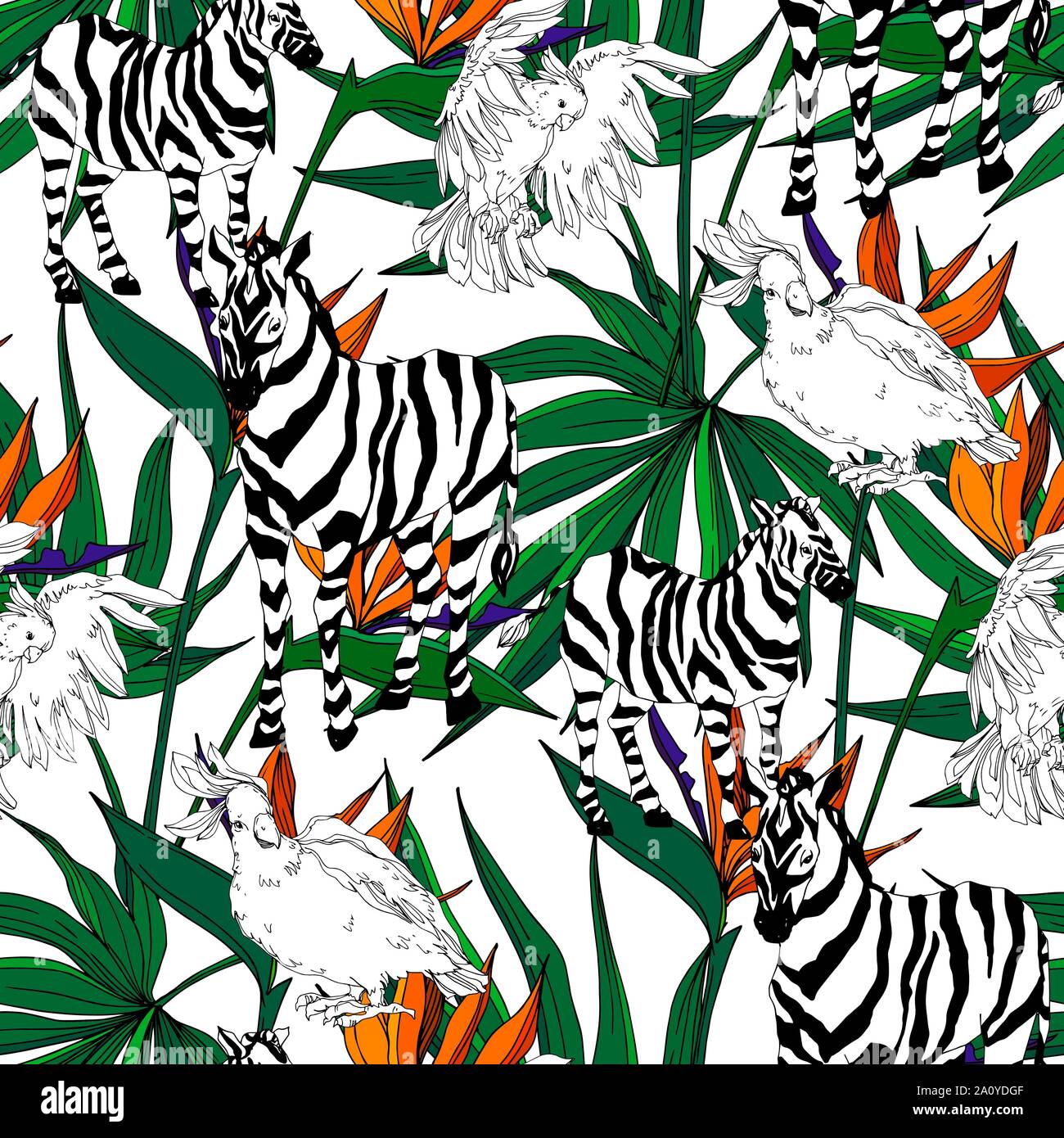 Vector Exotic zebra print wild animal isolated. Black and white ...