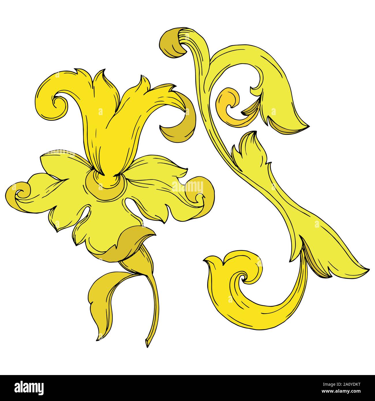 Gold baroque vectors on white hi-res stock photography and images - Alamy