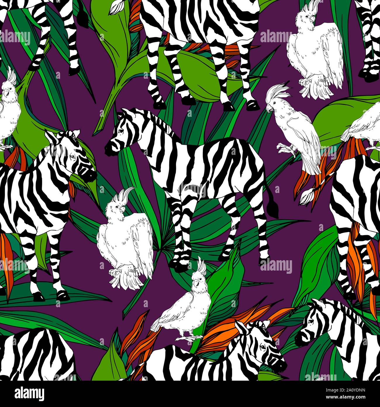 Vector Exotic zebra print wild animal isolated. Black and white ...