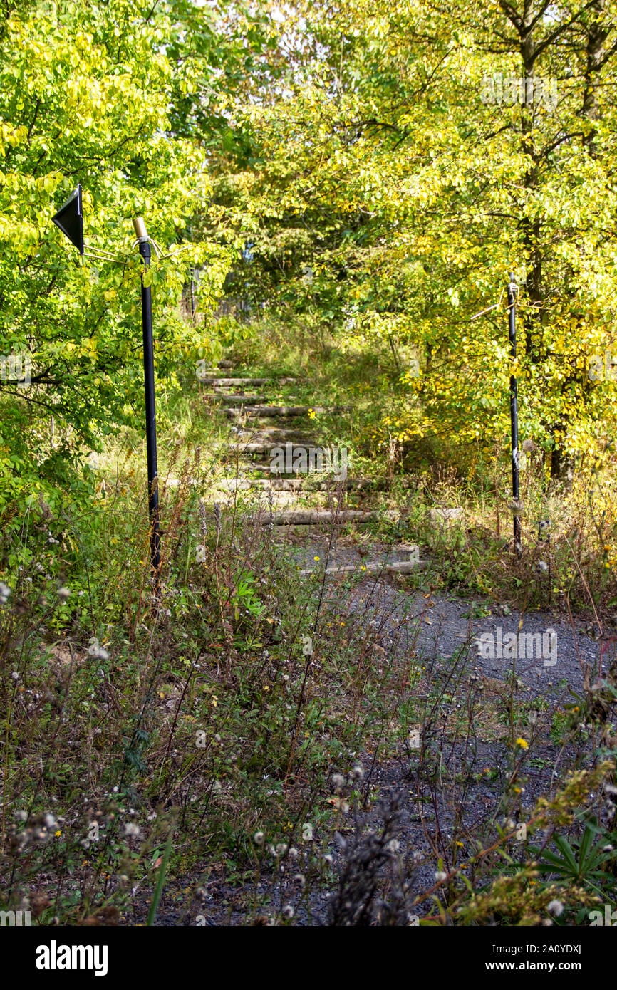 back to nature, overgrown stairway in the forest Stock Photo - Alamy