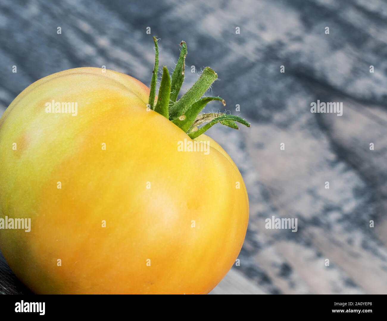 Big fresh yellow tomato isolated on wood background. Showing green stem ...