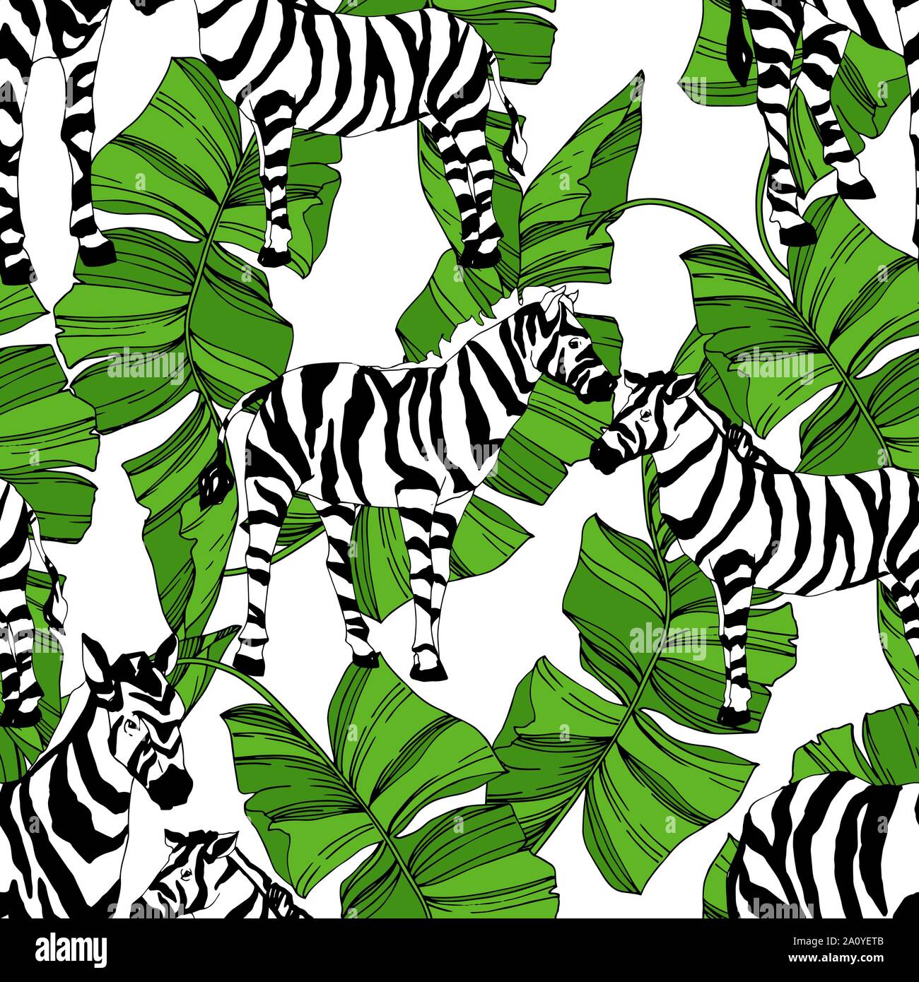 African wildflower Stock Vector Images - Alamy