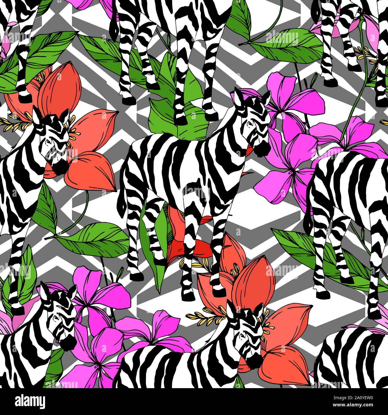 Colorful Zebra Wallpaper