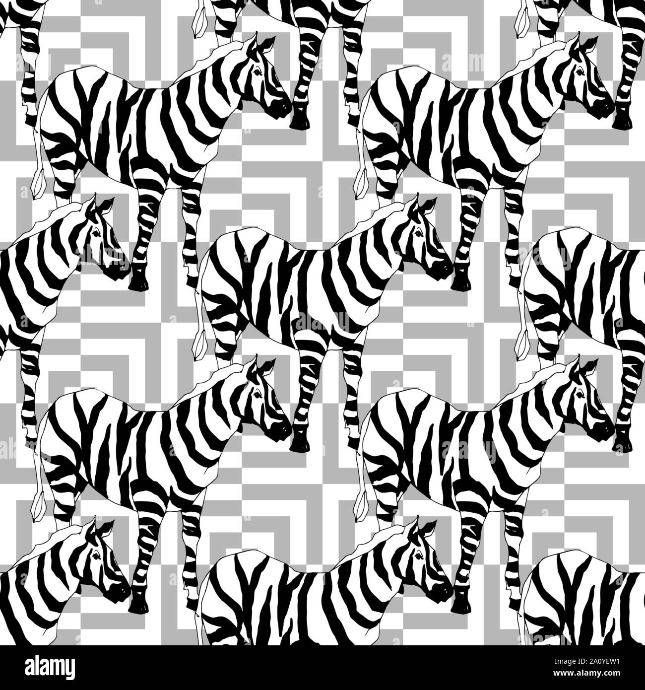 Vector Exotic zebra print wild animal isolated. Black and white ...