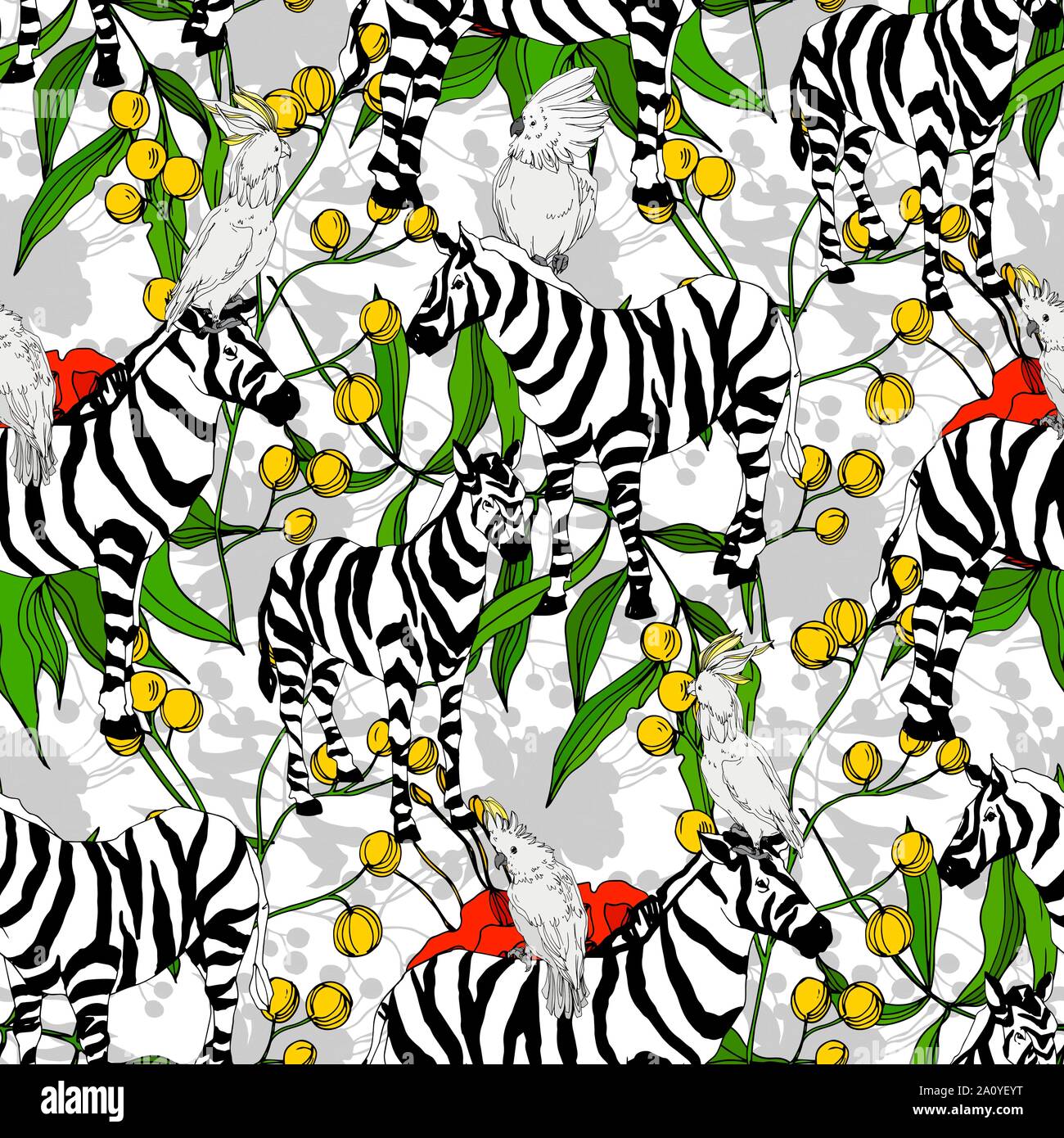 Vector Exotic zebra print wild animal isolated. Black and white ...