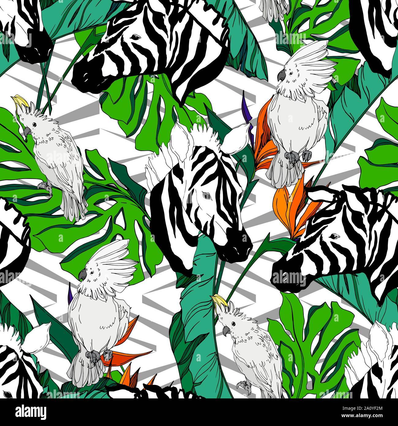 Vector Exotic zebra print wild animal isolated. Black and white ...