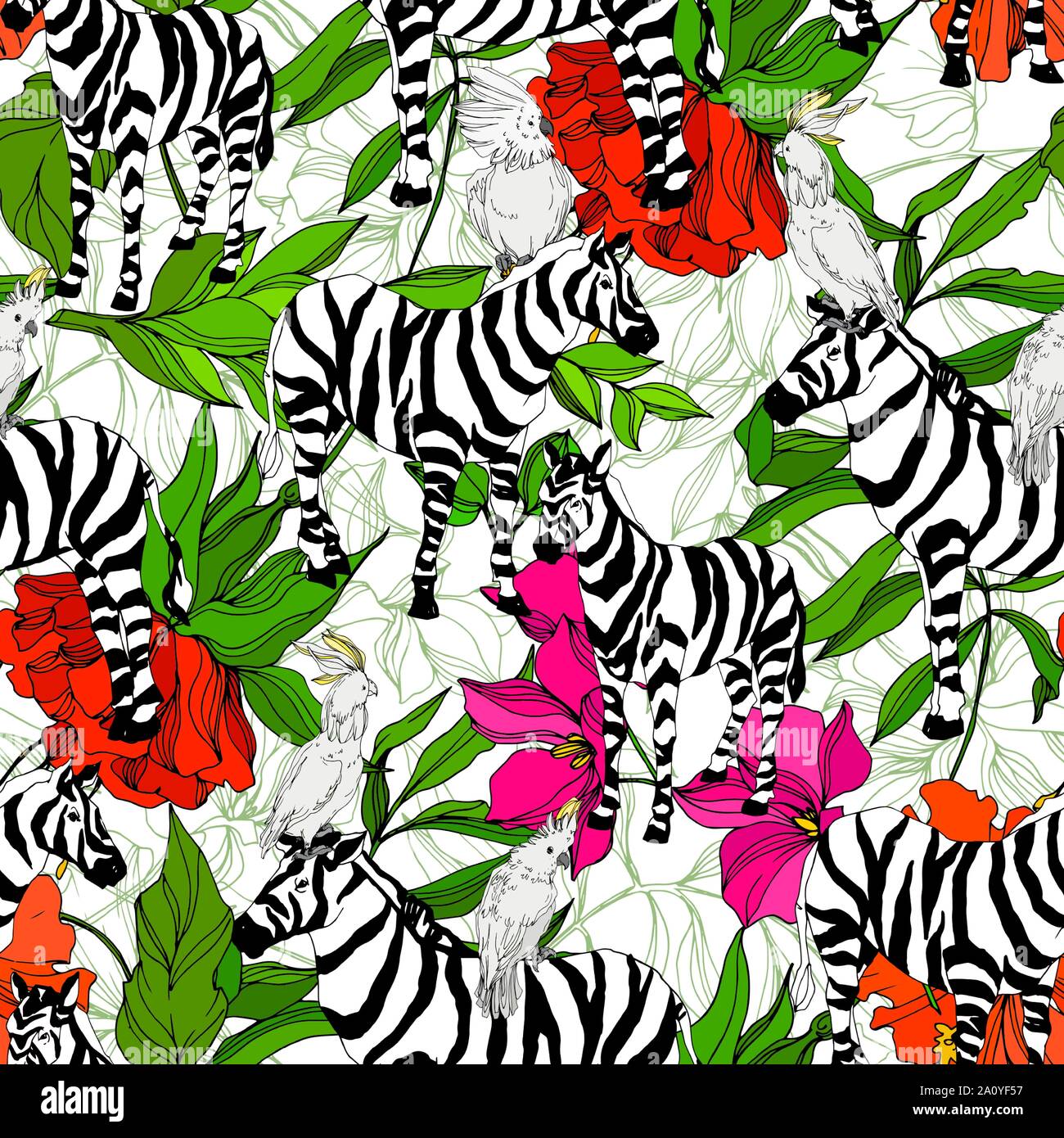 Vector Exotic zebra print wild animal isolated. Black and white ...