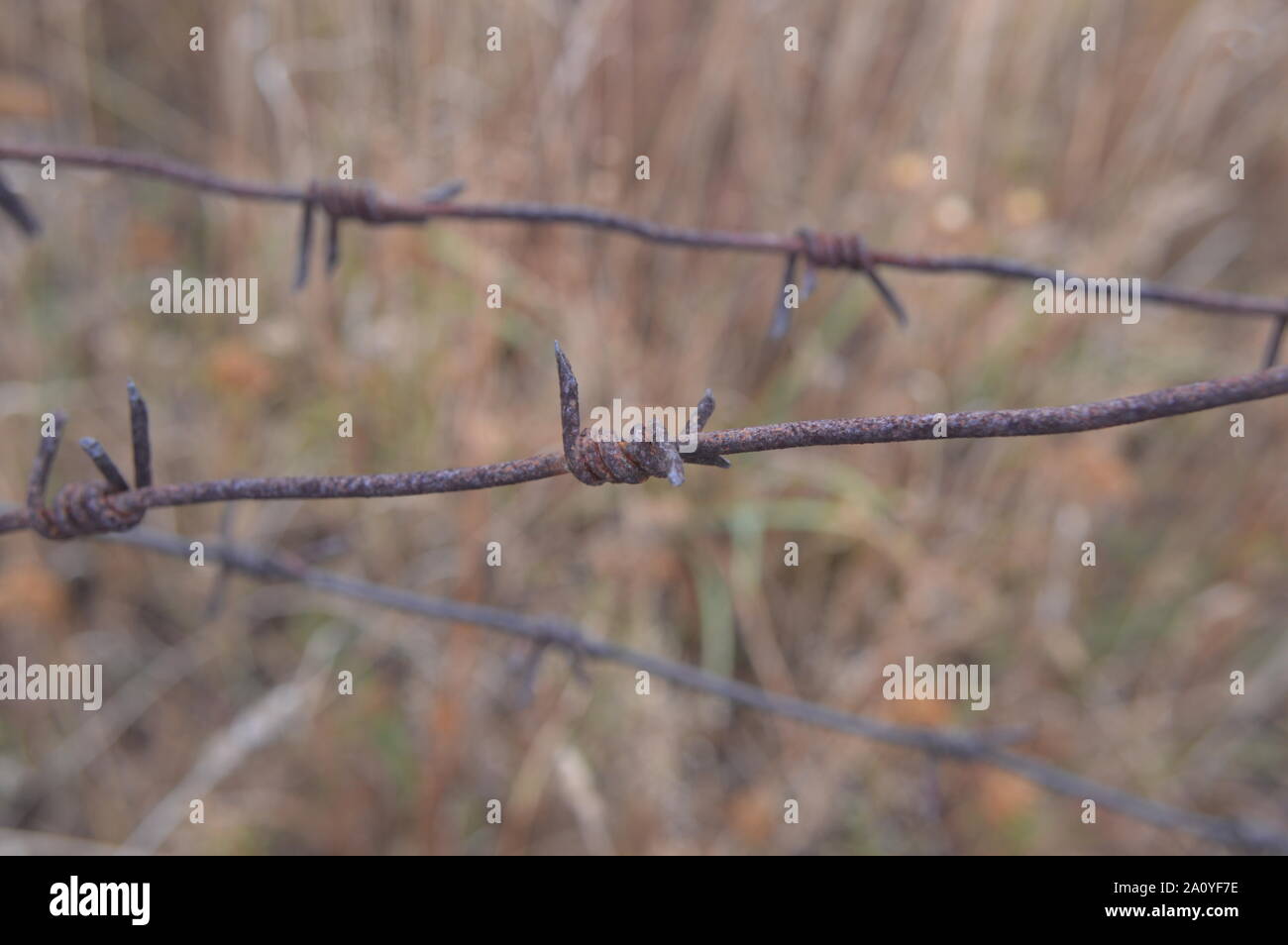 Stretched fence hi-res stock photography and images - Alamy