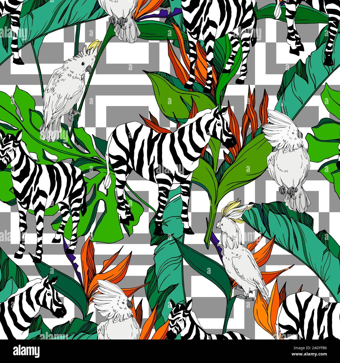 Vector Exotic zebra print wild animal isolated. Black and white ...