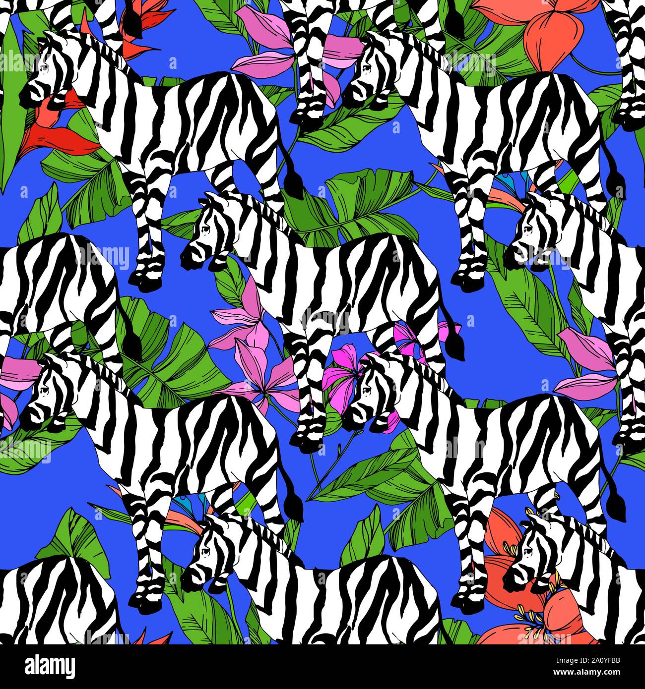 Vector Exotic zebra print wild animal isolated. Black and white ...