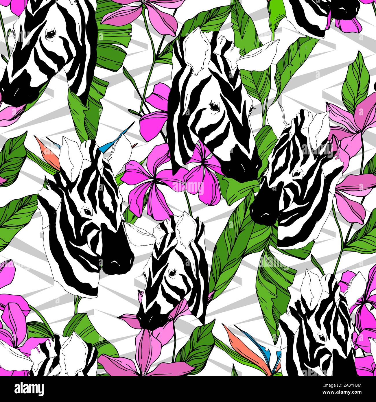 Vector Exotic zebra print wild animal isolated. Black and white ...