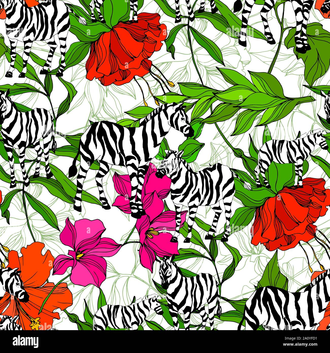 Vector Exotic zebra print wild animal isolated. Black and white ...