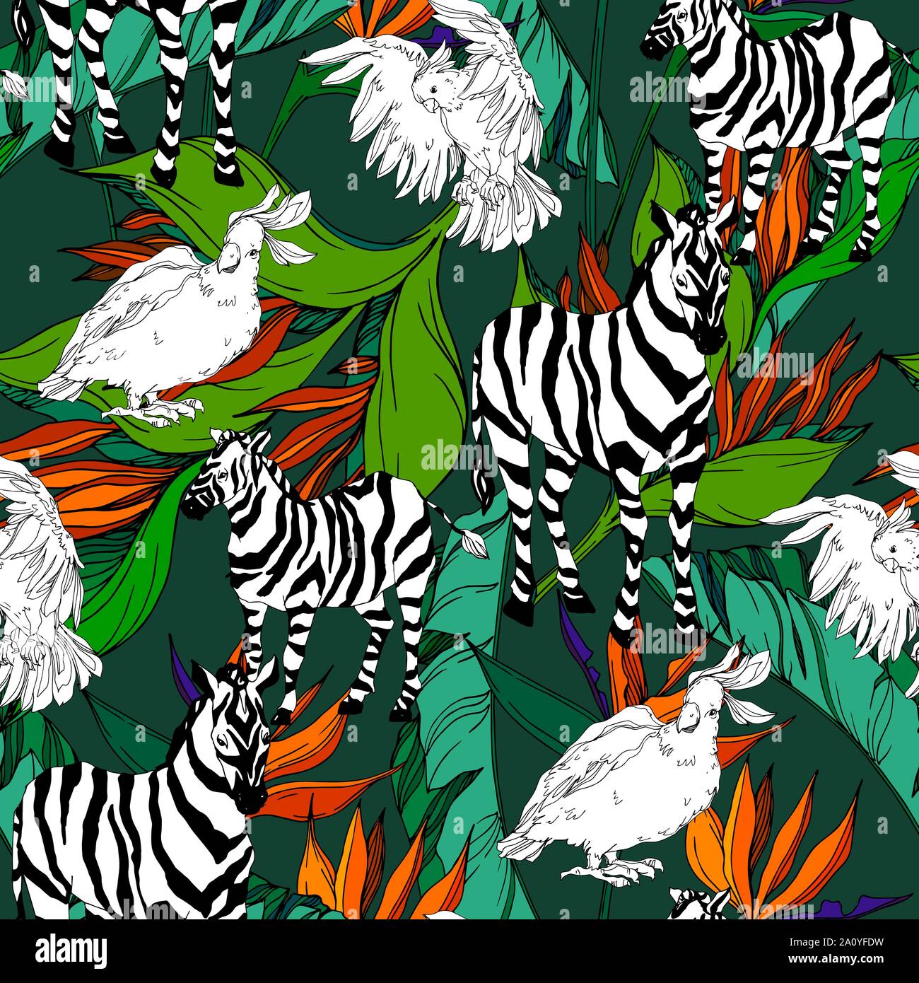 Vector Exotic zebra print wild animal isolated. Black and white ...