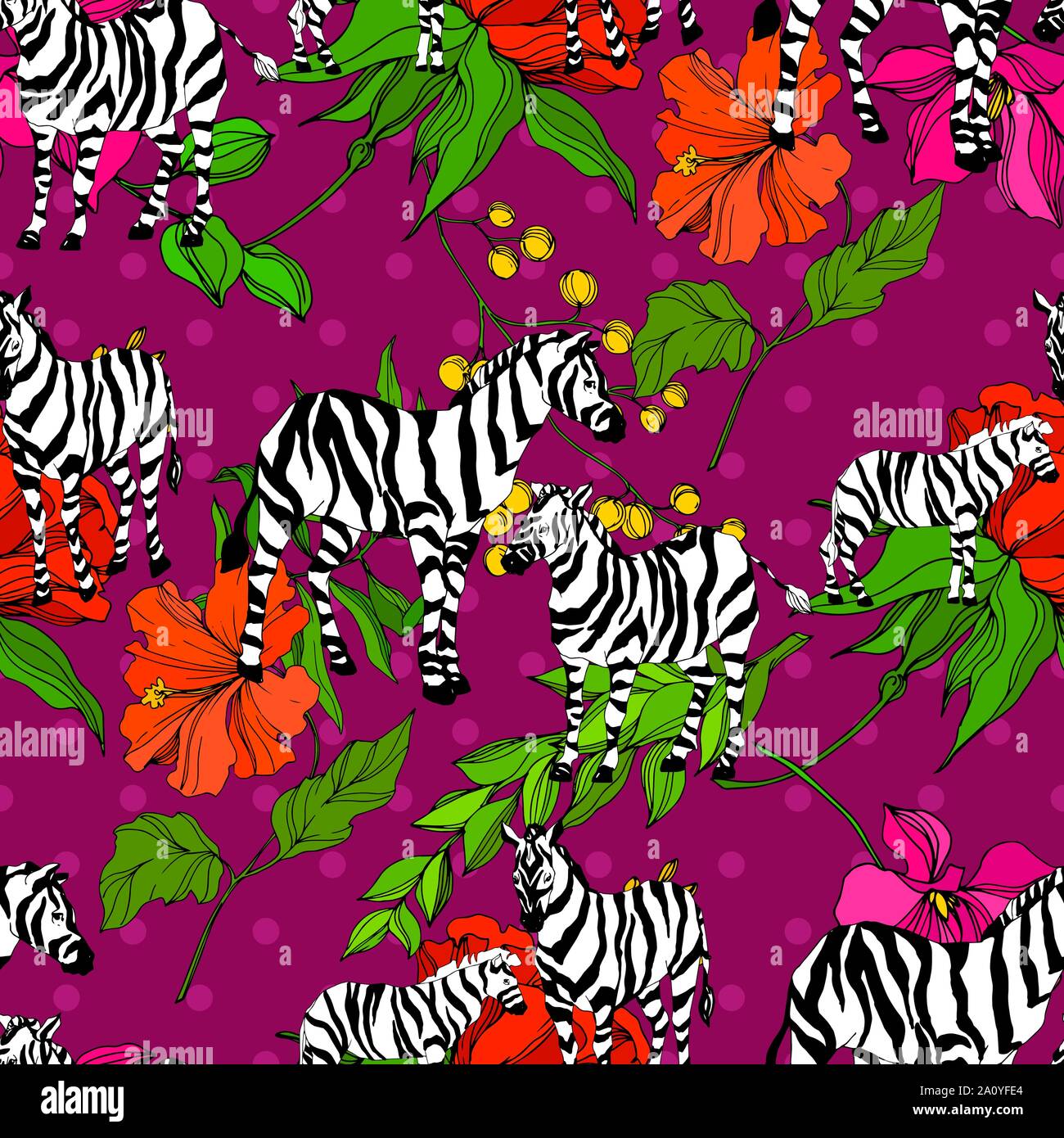 Vector Exotic zebra print wild animal isolated. Black and white ...