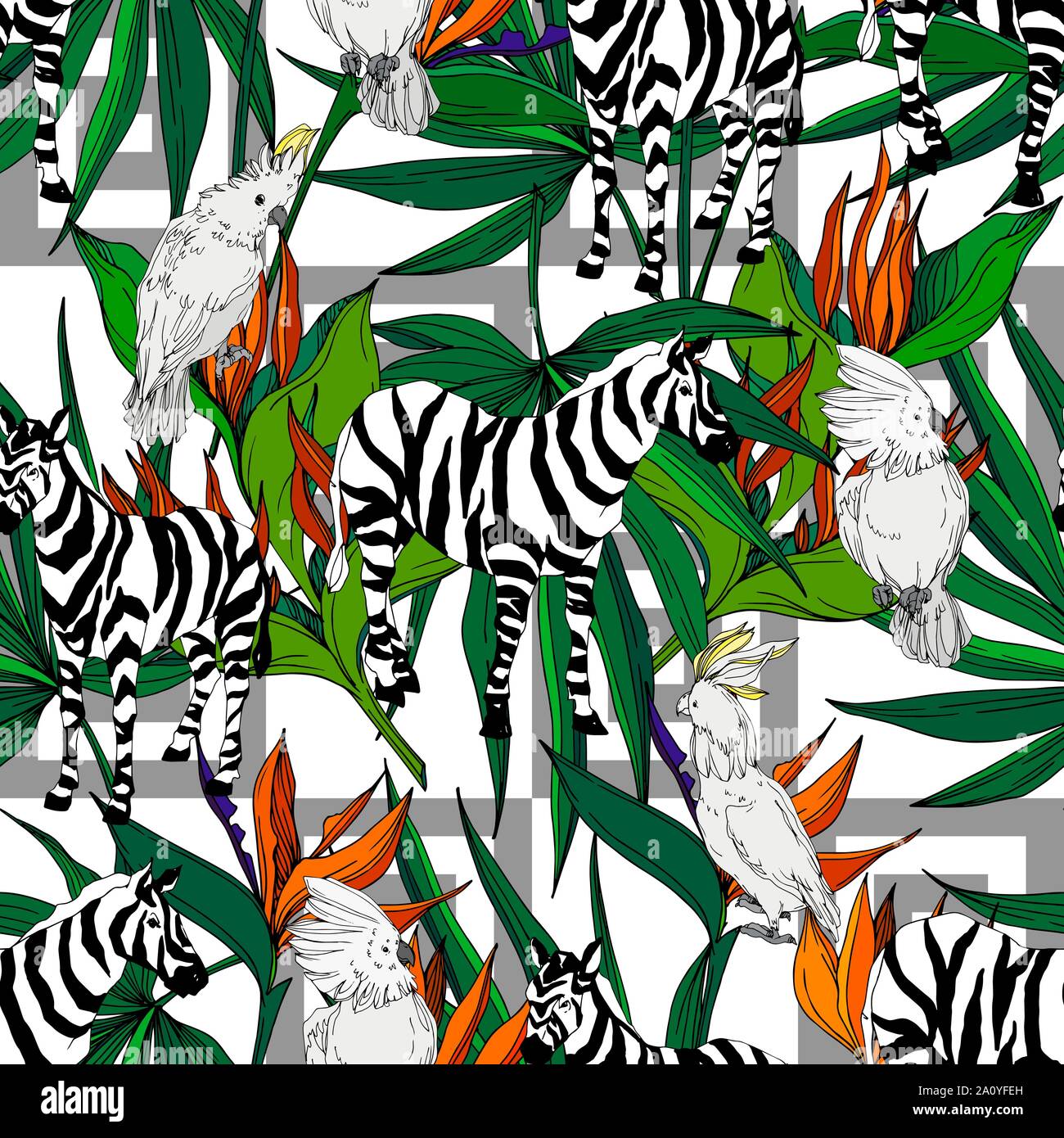 Vector Exotic zebra print wild animal isolated. Black and white ...