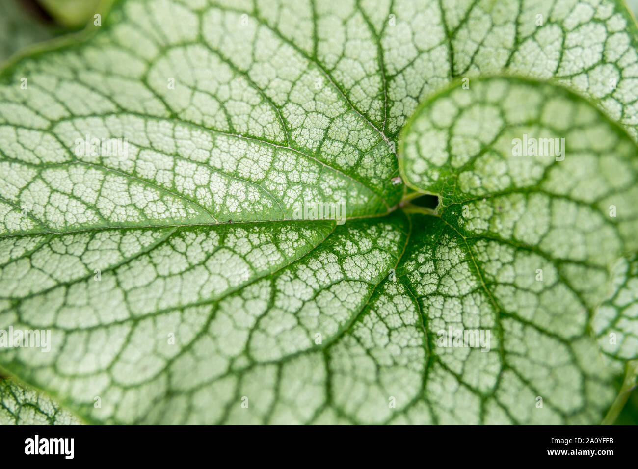 Sructure High Resolution Stock Photography and Images - Alamy