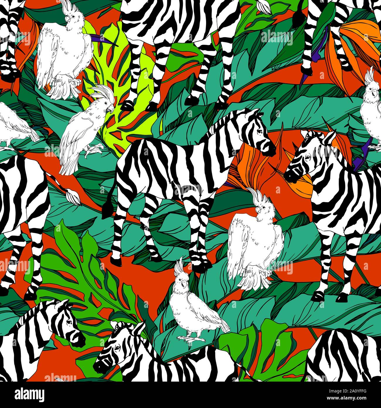 Vector Exotic zebra print wild animal isolated. Black and white ...