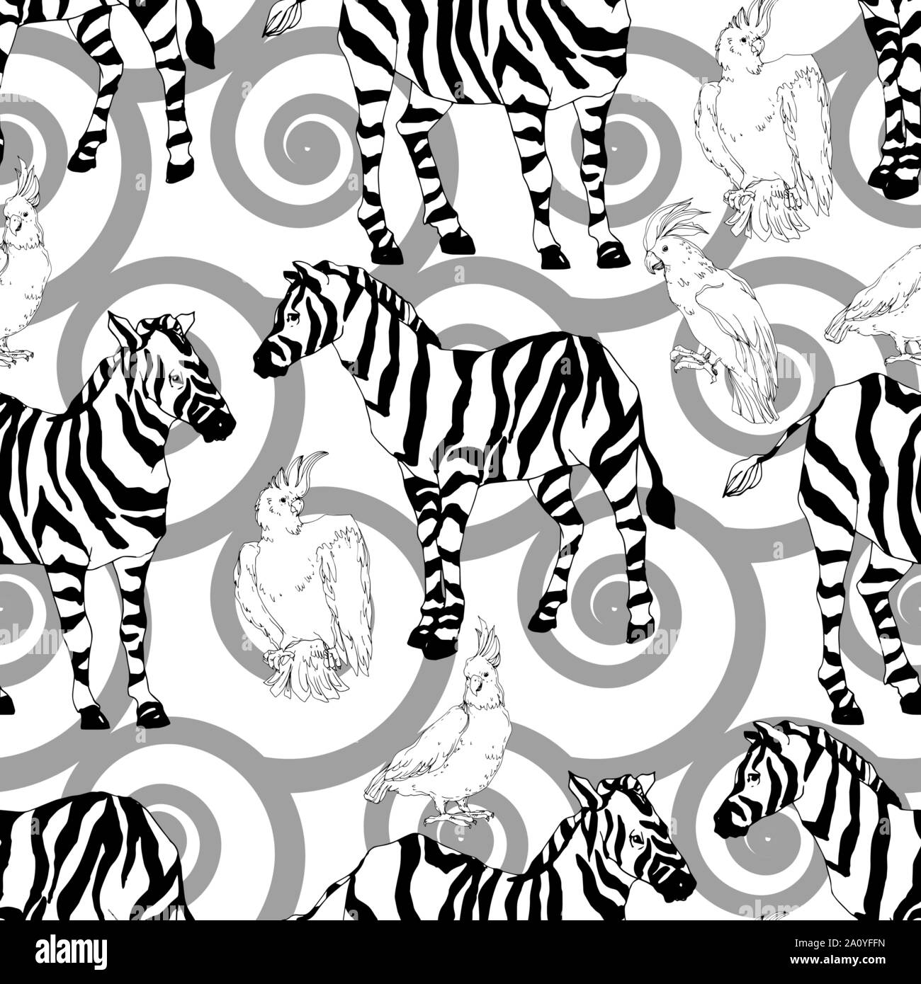 Zebra Print Drawings