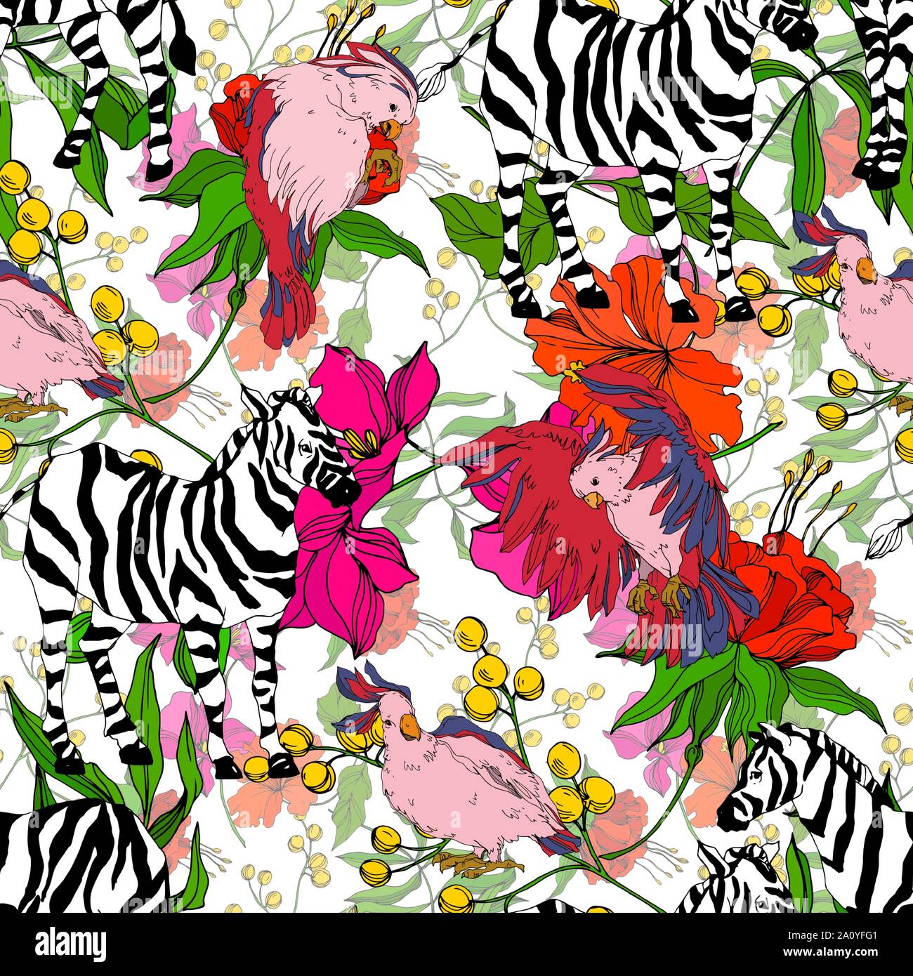 Vector Exotic zebra print wild animal isolated. Black and white ...