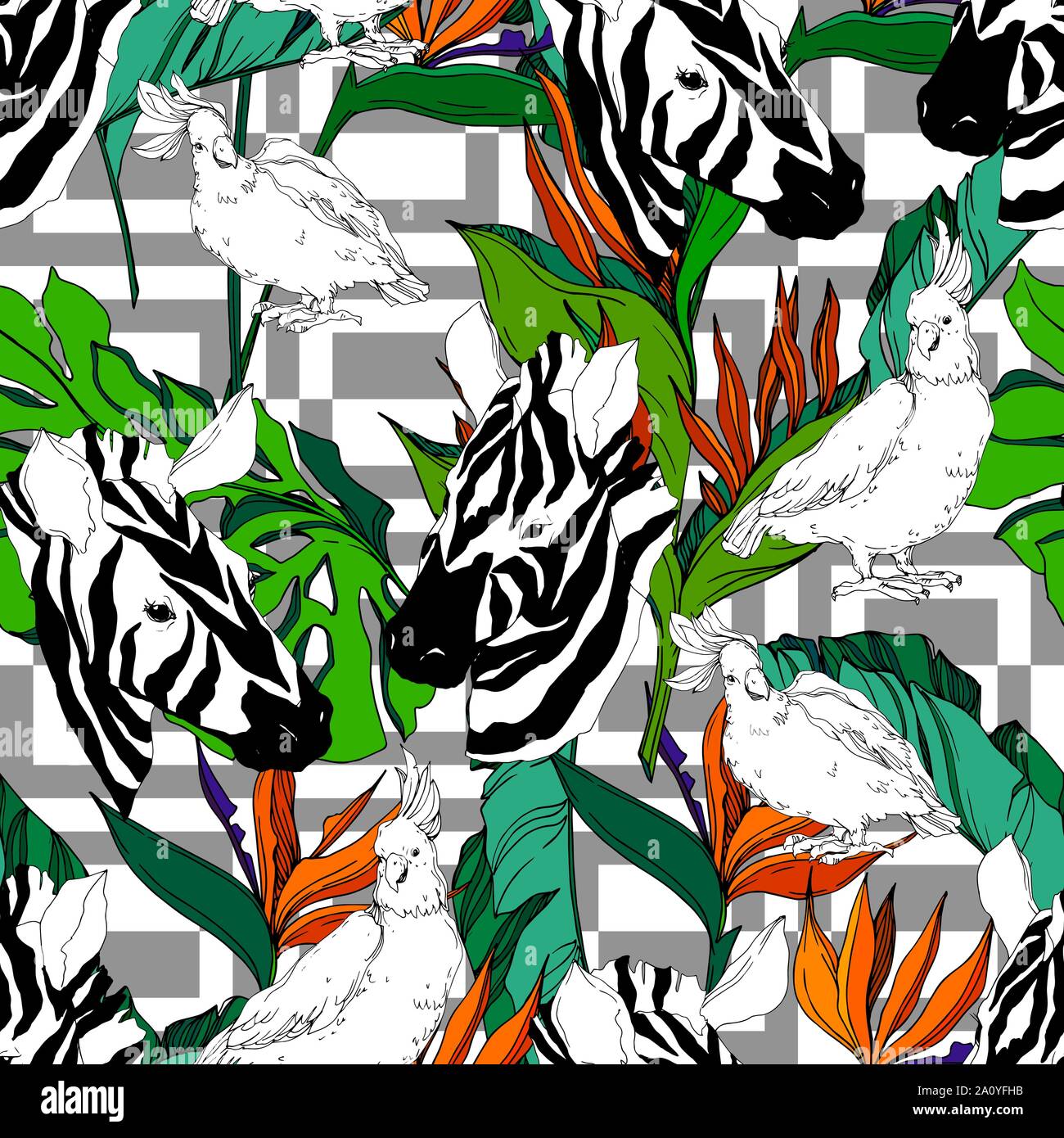 Vector Exotic zebra print wild animal isolated. Black and white ...