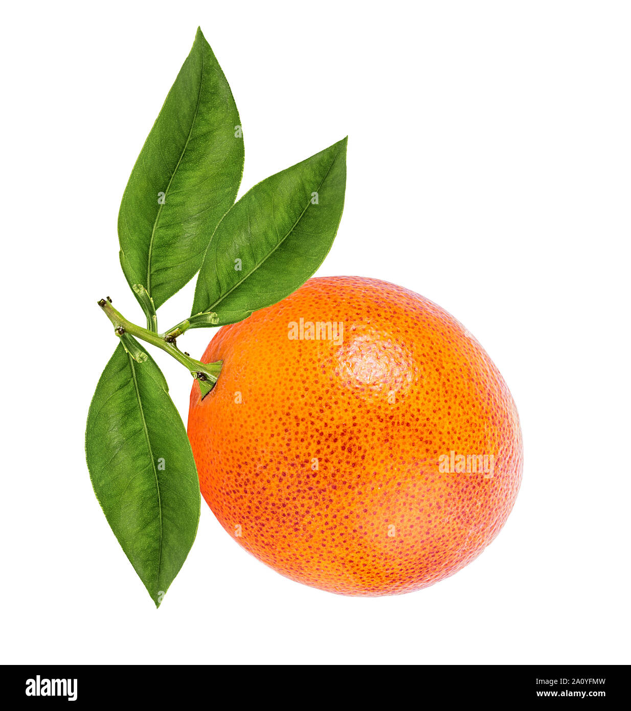 Ripe orange isolated on white background Stock Photo - Alamy