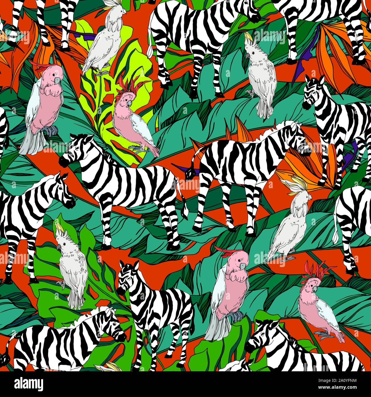 Vector Exotic zebra print wild animal isolated. Black and white ...