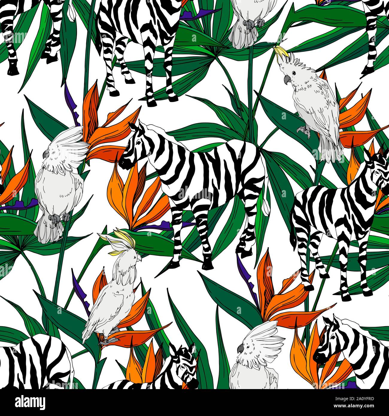Vector Exotic zebra print wild animal isolated. Black and white ...