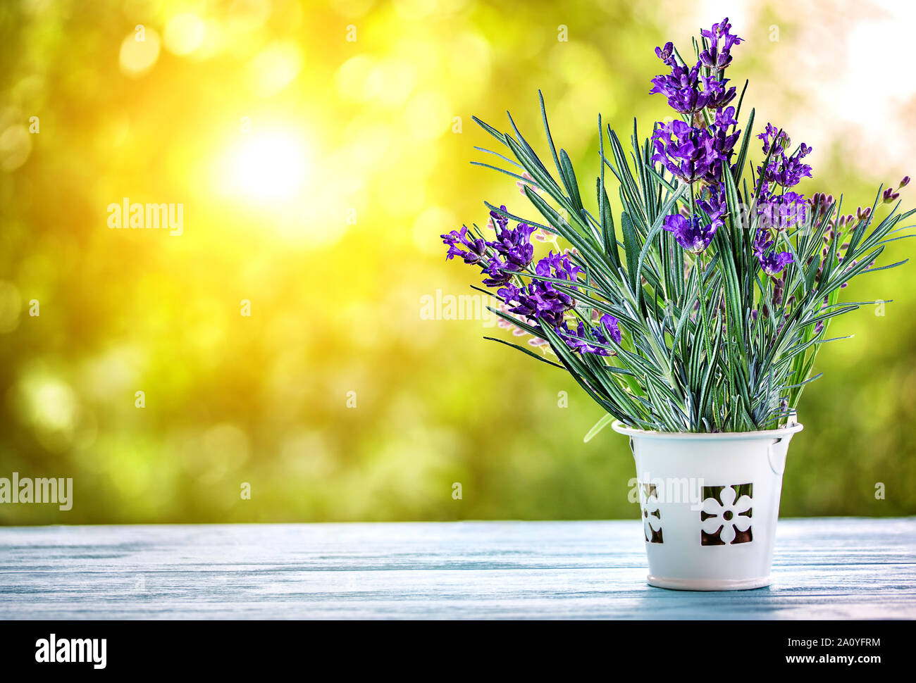 Lavender plant bouquet hi-res stock photography and images - Alamy