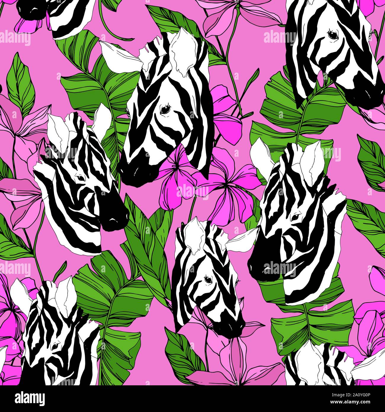 Vector Exotic zebra print wild animal isolated. Black and white ...