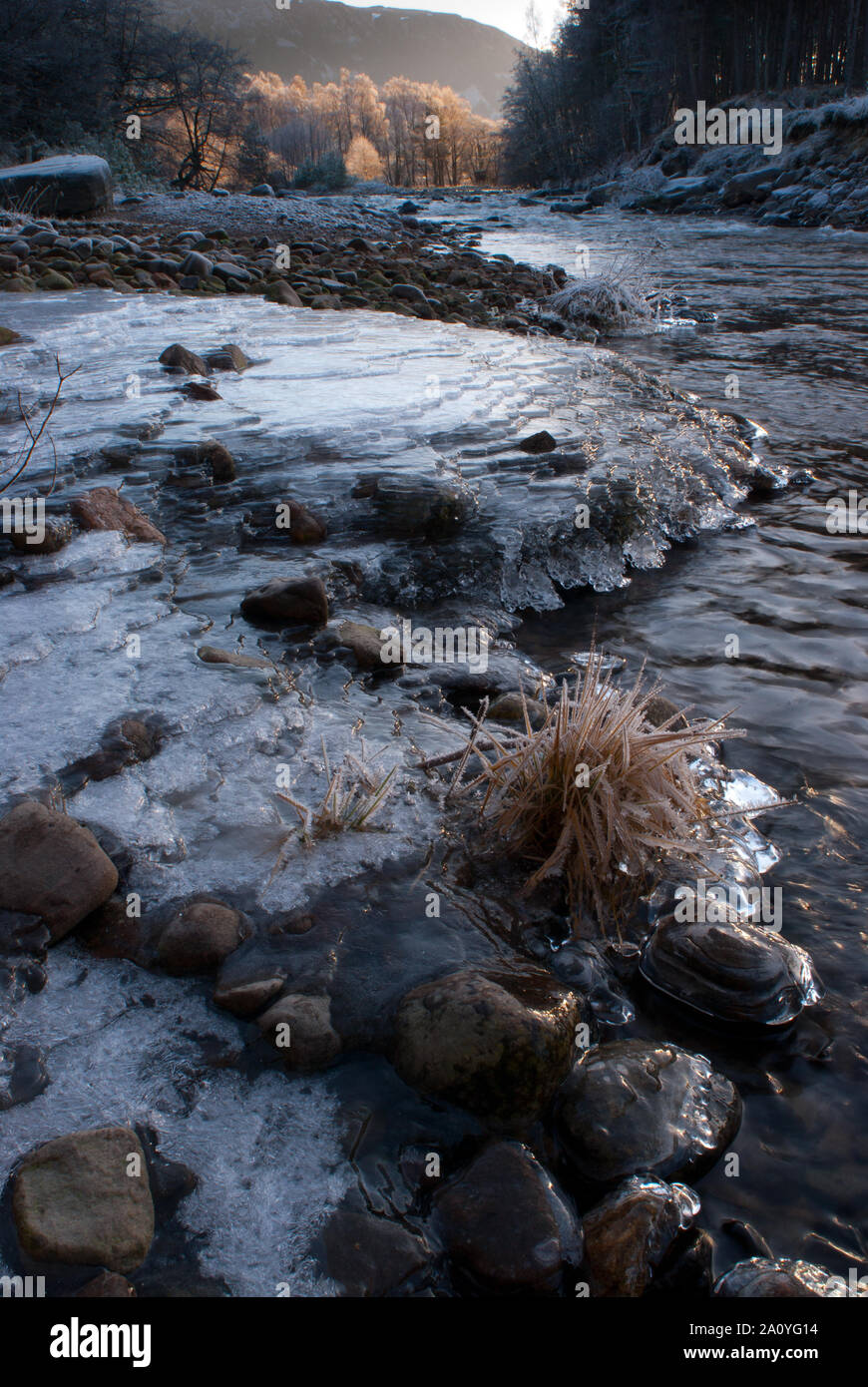 Stream frozen into a cascading ice fall, River Feshie, Cairngorm ...