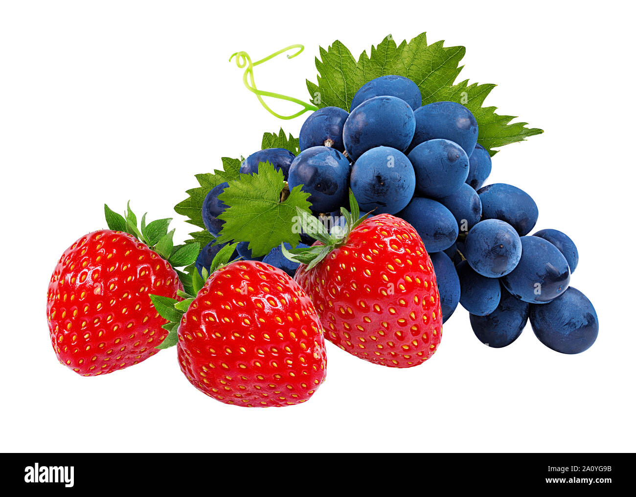 Strawberry and grapes isolated on white background Stock Photo - Alamy