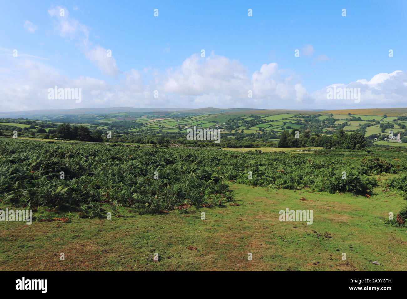 Widecombe in the Moor Stock Photo - Alamy