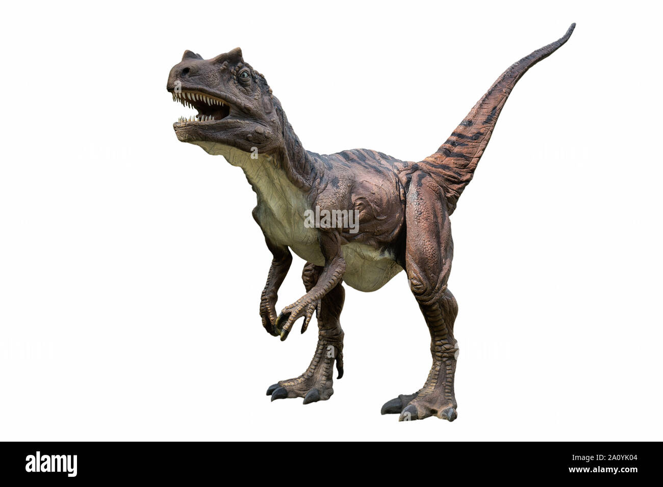 Saltriosaurus isolated on white background. Saltriosaur is a carnivore ...